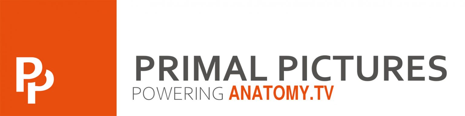 Primal Pictures - Access Dunia Sdn Bhd - One Stop Information Provider